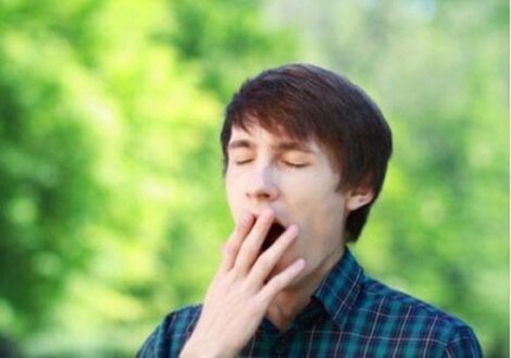 Ziewanie jest potrzebne, by schłodzić mózg - Piękno umysłu